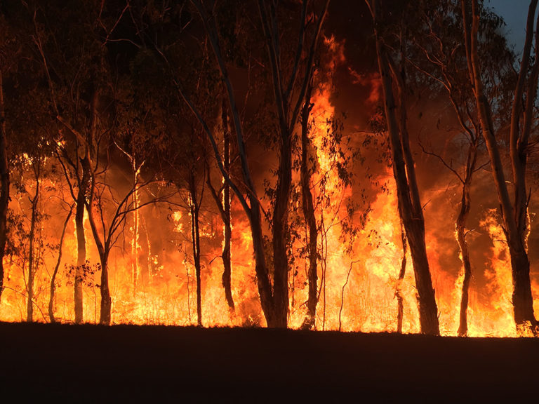 The facts about bushfires and climate change | Climate Council