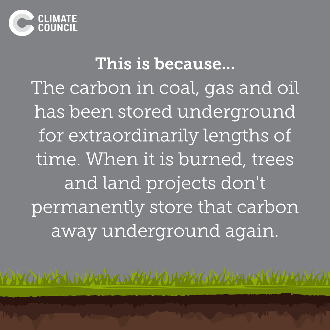 Deforestation and Climate Change | Climate Council