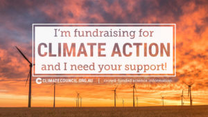 12 Climate Actions to Make an Impact | Climate Council