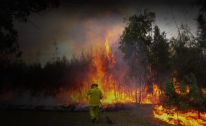 The facts about bushfires and climate change | Climate Council