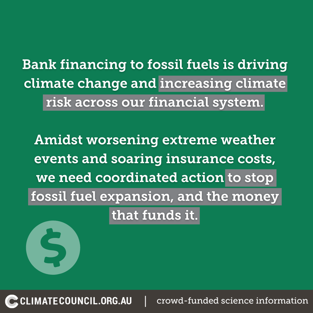 Climate resolutions for 2025 | Climate Council