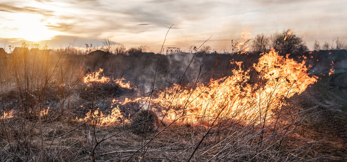Grass fires follow floods: Here’s what you need to know | Climate Council