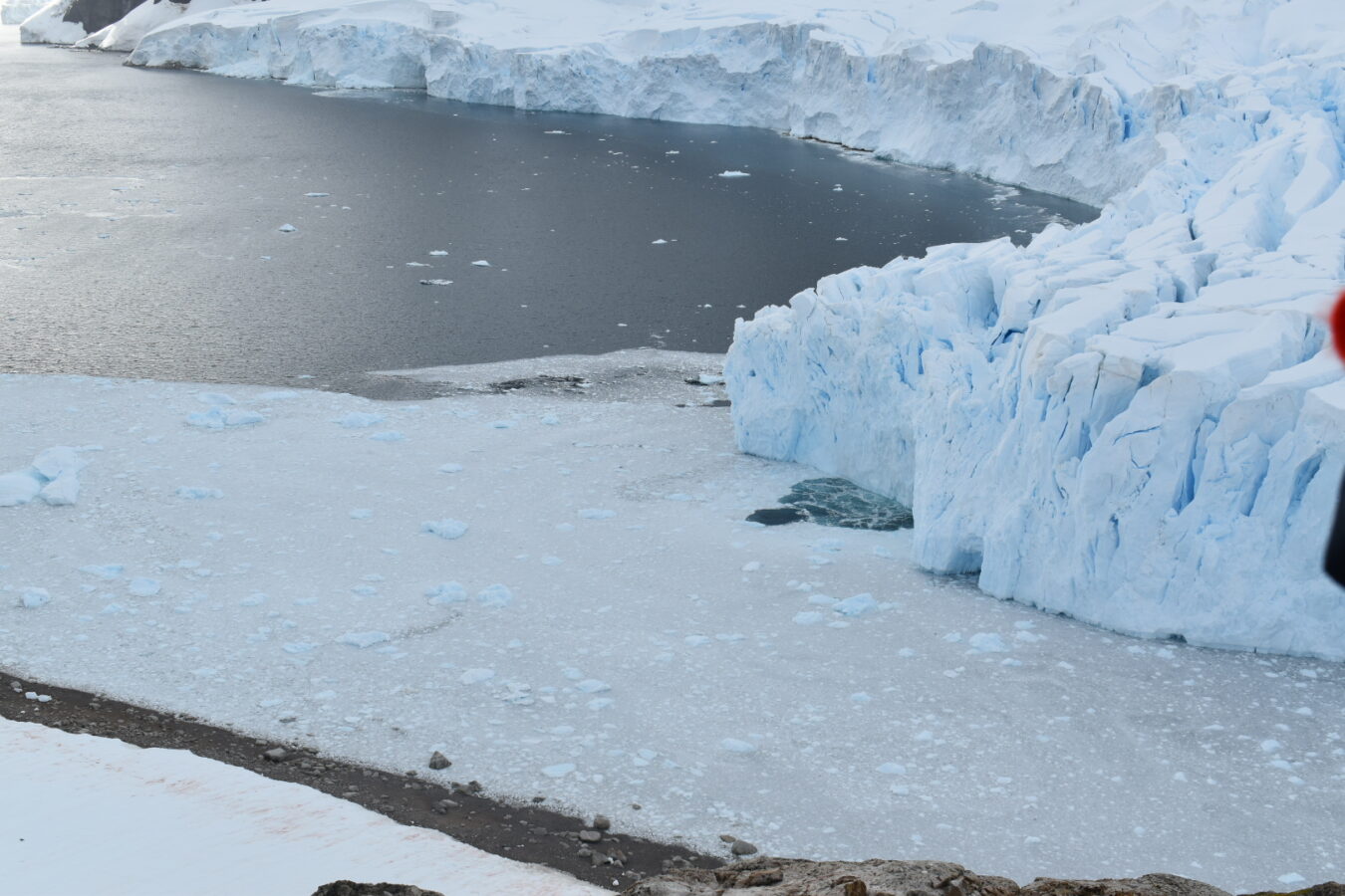 What does Antarctica have to do with climate change? | Climate Council