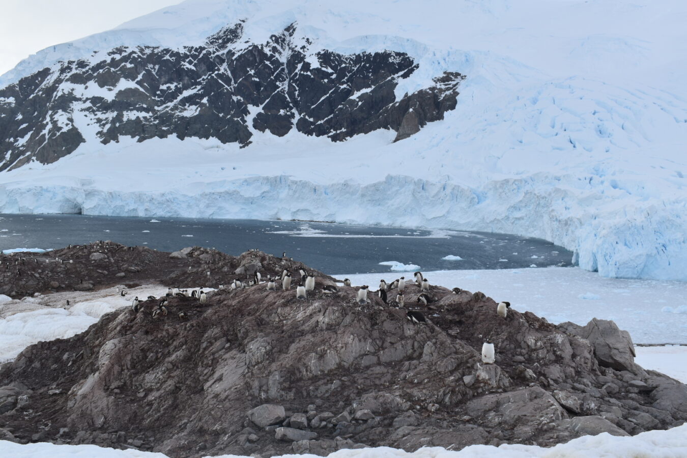 What does Antarctica have to do with climate change? | Climate Council