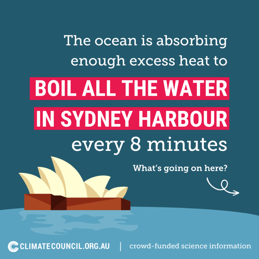 The crisis in our oceans threatens all life as we know it - including ...