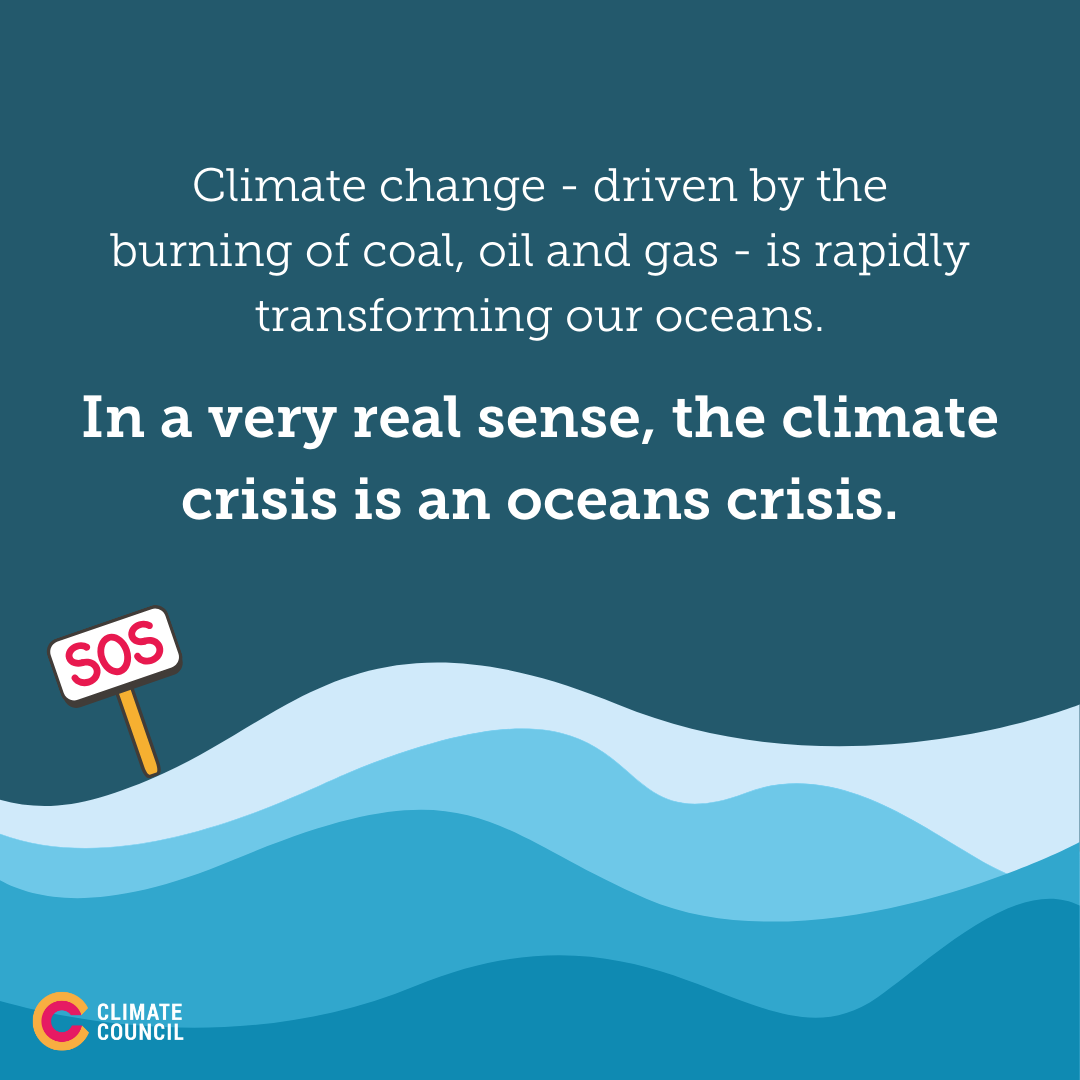 The crisis in our oceans threatens all life as we know it - including ...