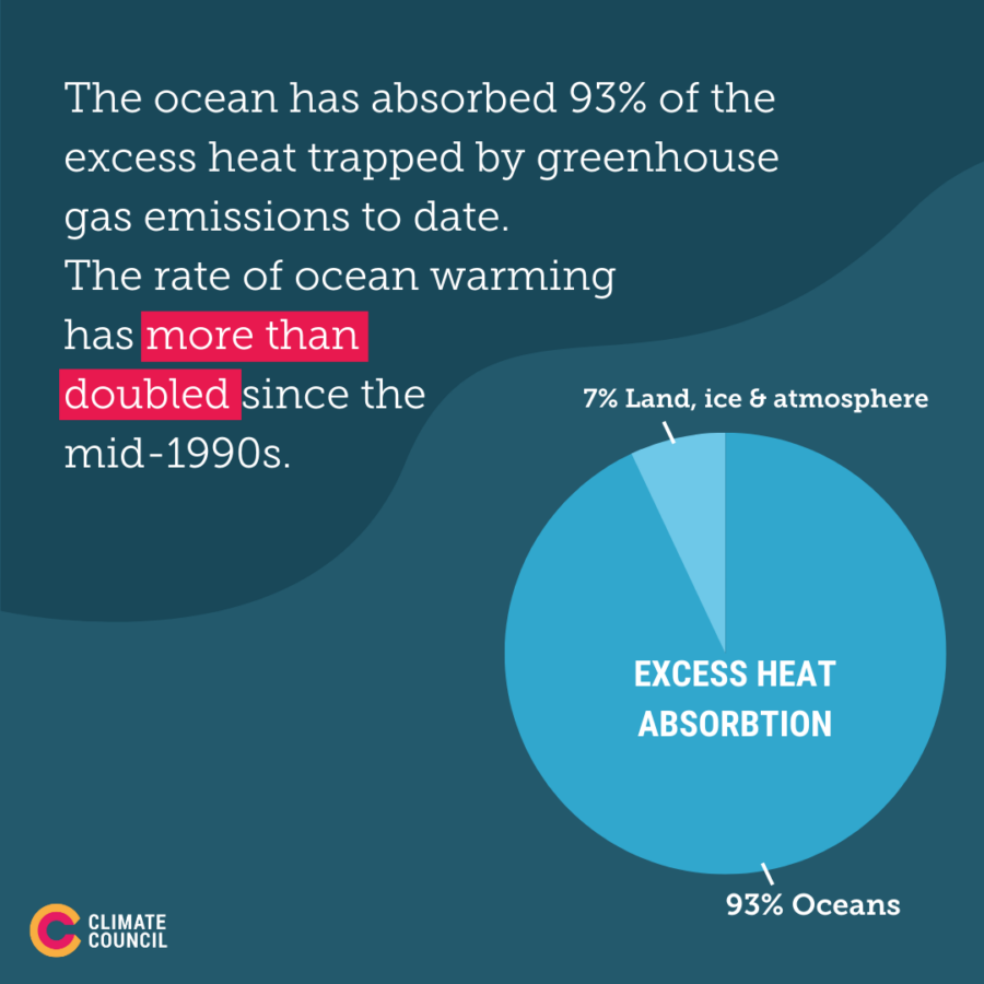 The crisis in our oceans threatens all life as we know it - including ...