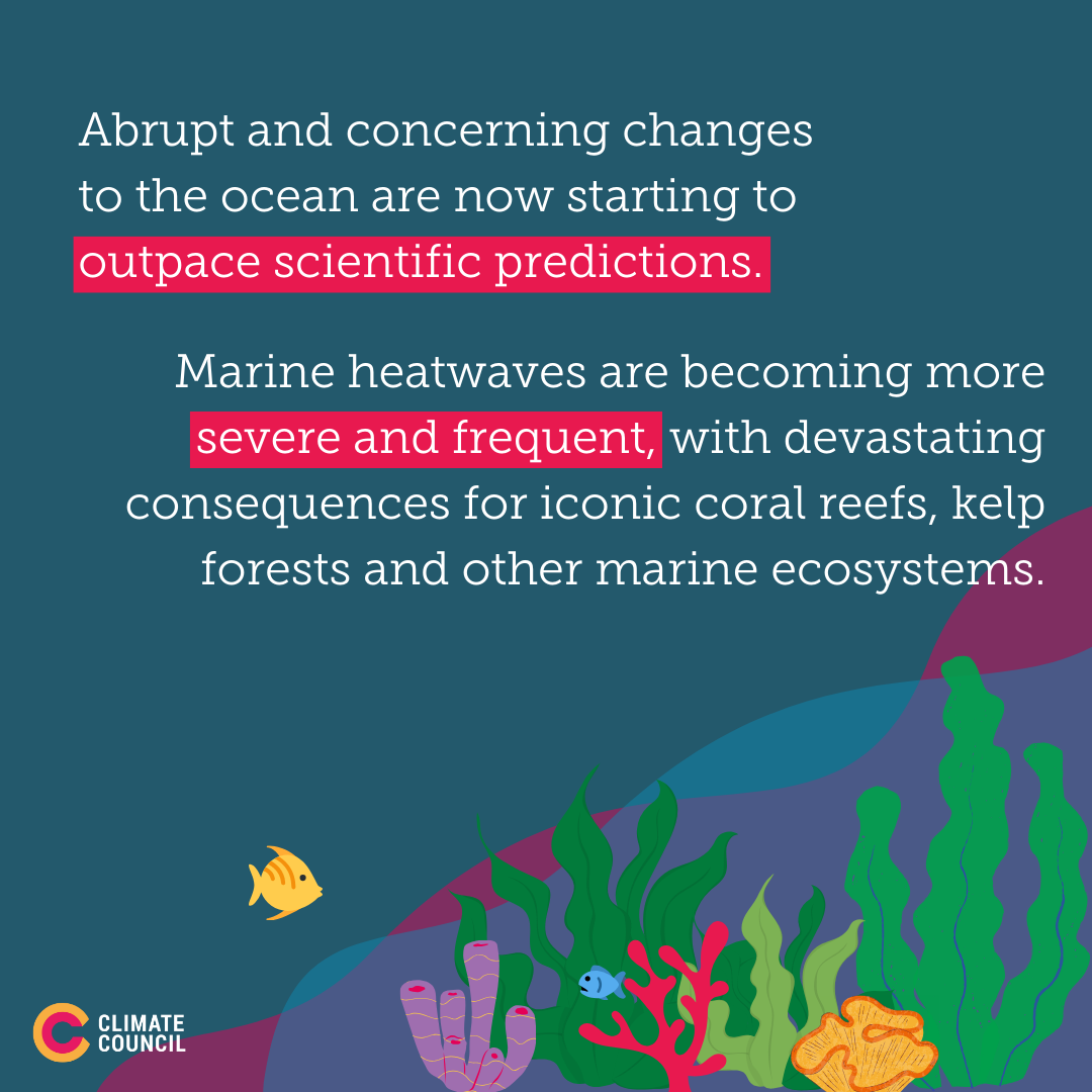 The crisis in our oceans threatens all life as we know it - including ...