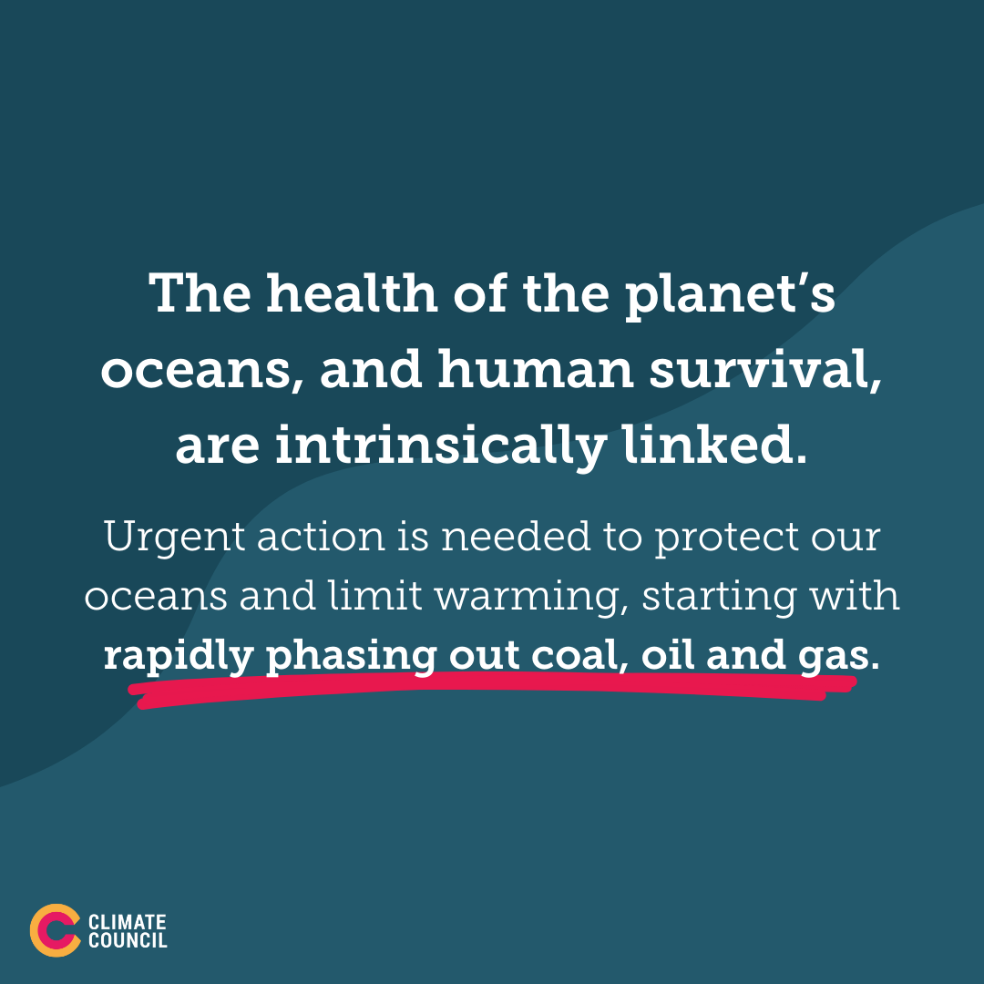 The crisis in our oceans threatens all life as we know it - including ...