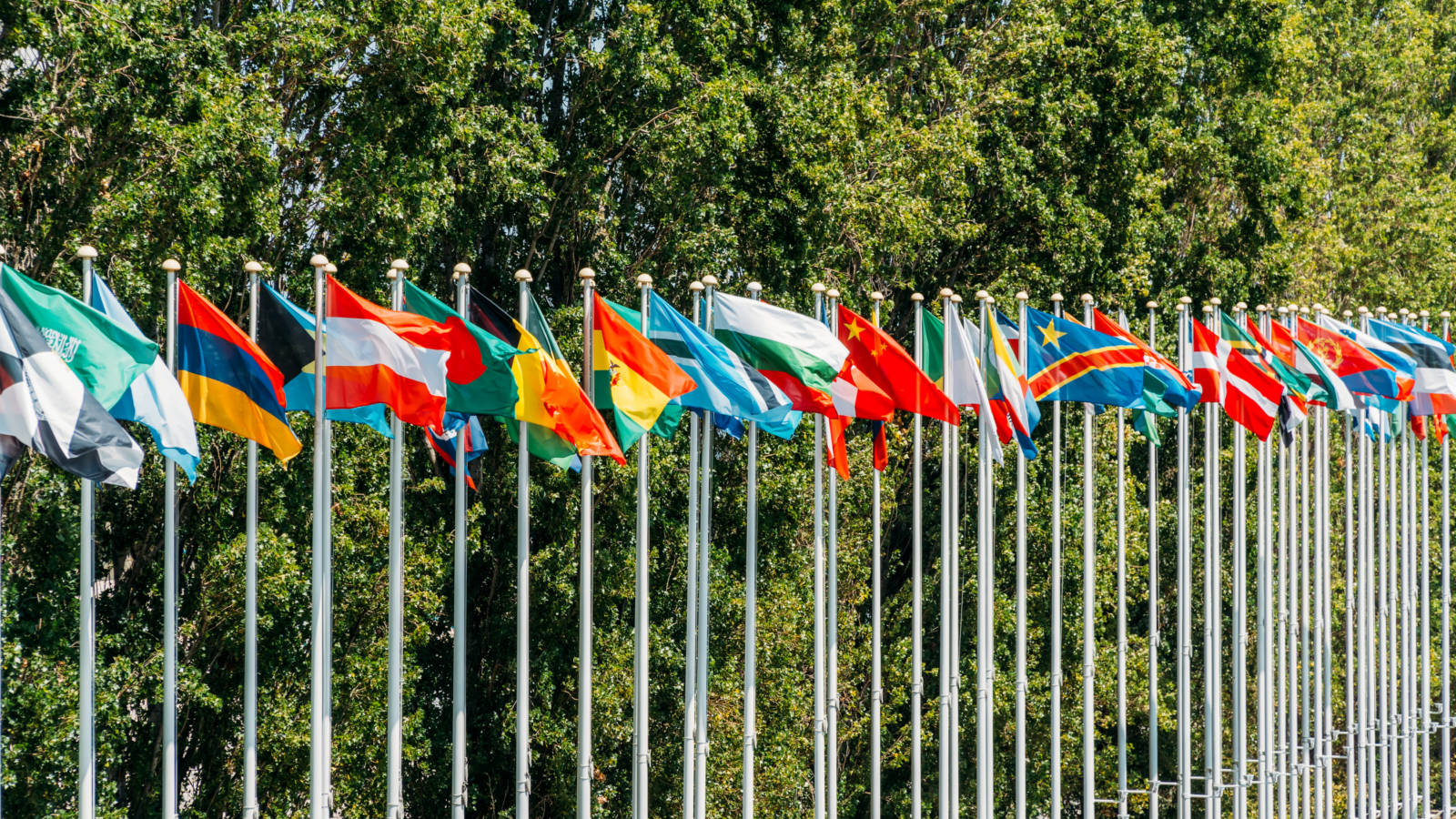 What makes COP28 important | Climate Council