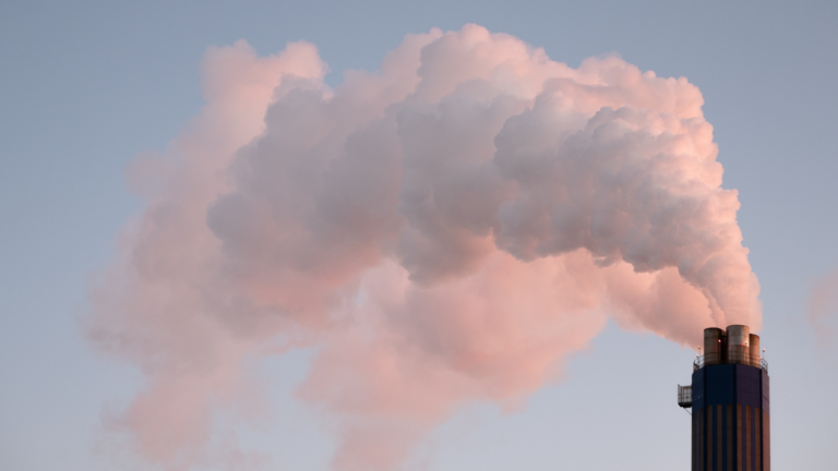 Top 10 Large-Scale Climate Solutions | Explainer | Climate Council