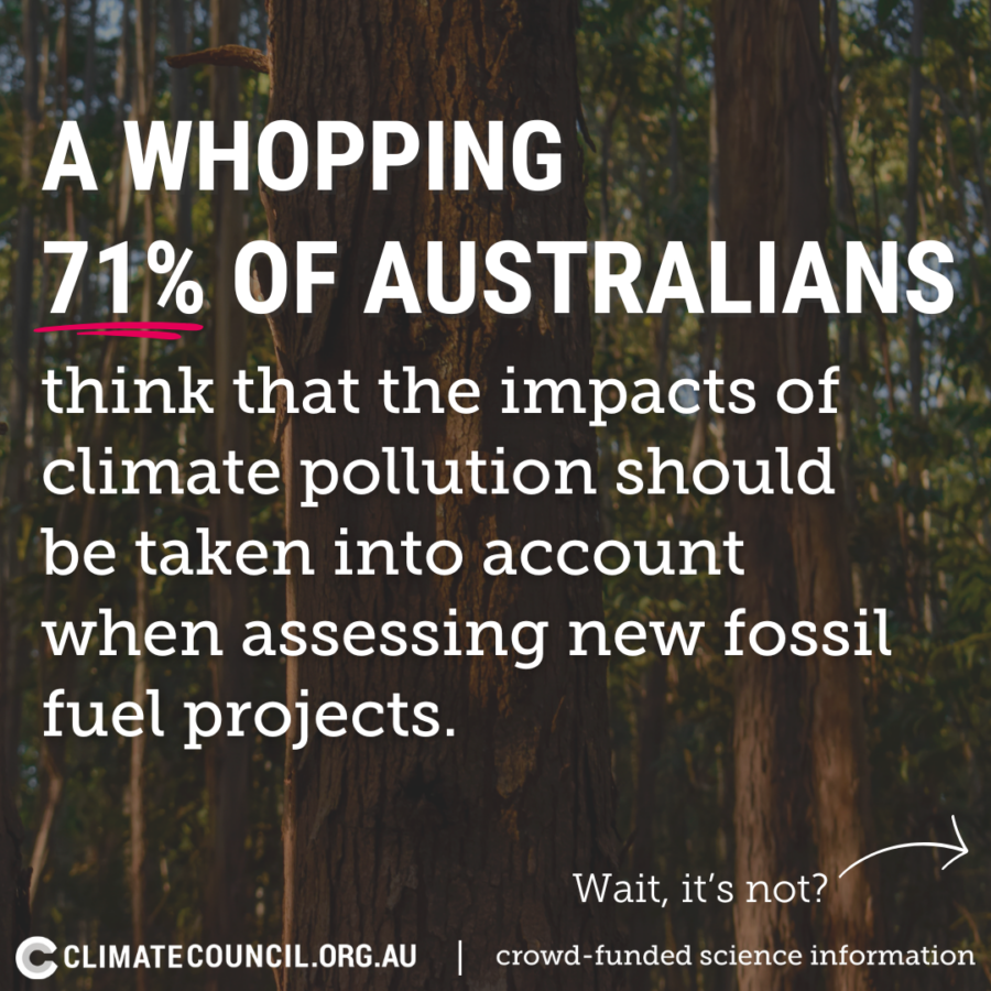 The Key Climate Outcomes We Need in New Nature Laws | Climate Council