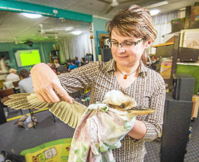 Dr Anne Fowler | Climate Council