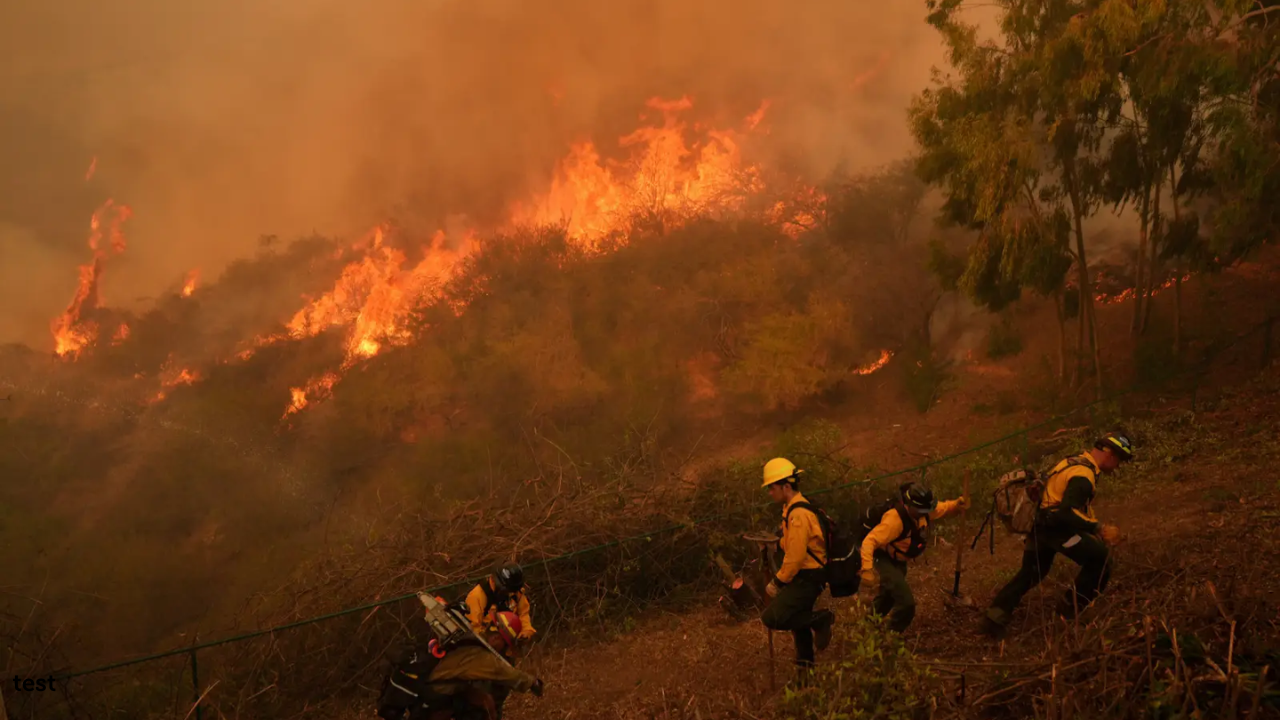 Wildfires in winter: What you need to know about the catastrophe ...