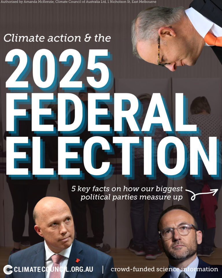 Climate Crossroads: Progress, Politics and a Pivotal Election | Climate ...
