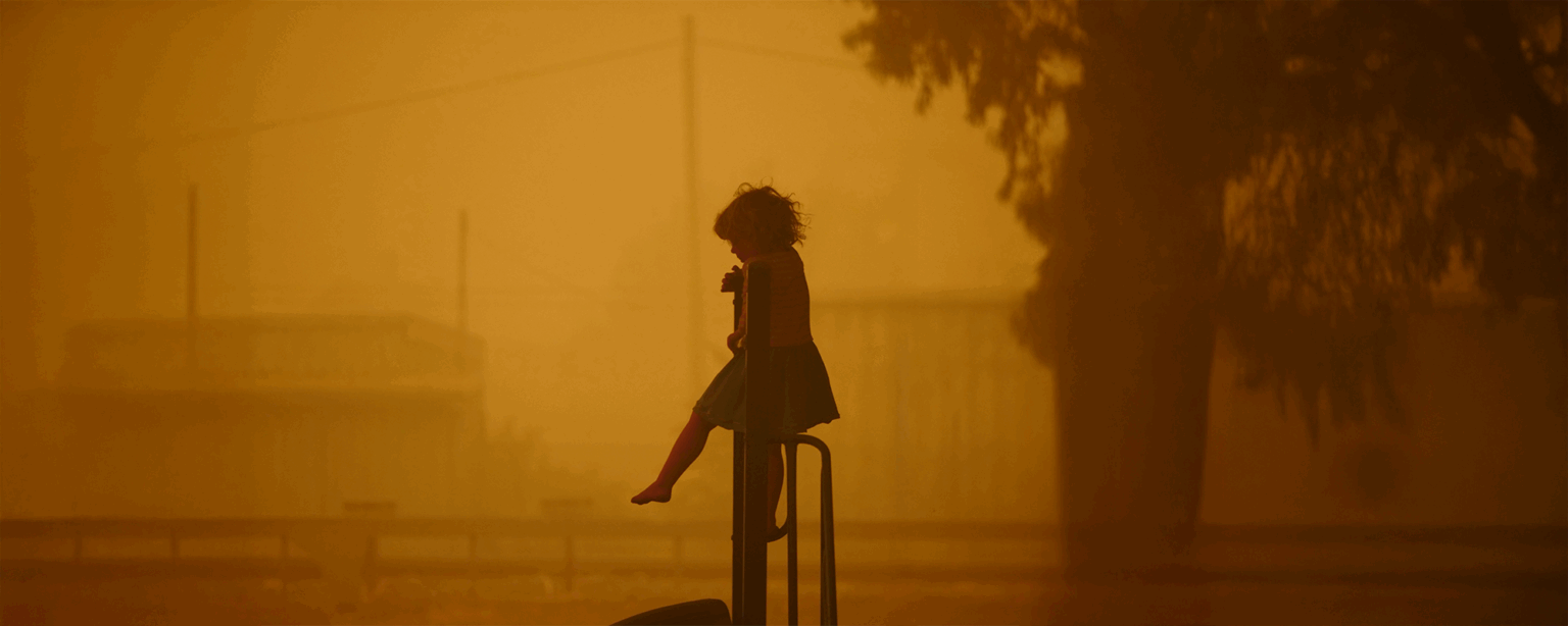 Deforestation and Climate Change | Climate Council